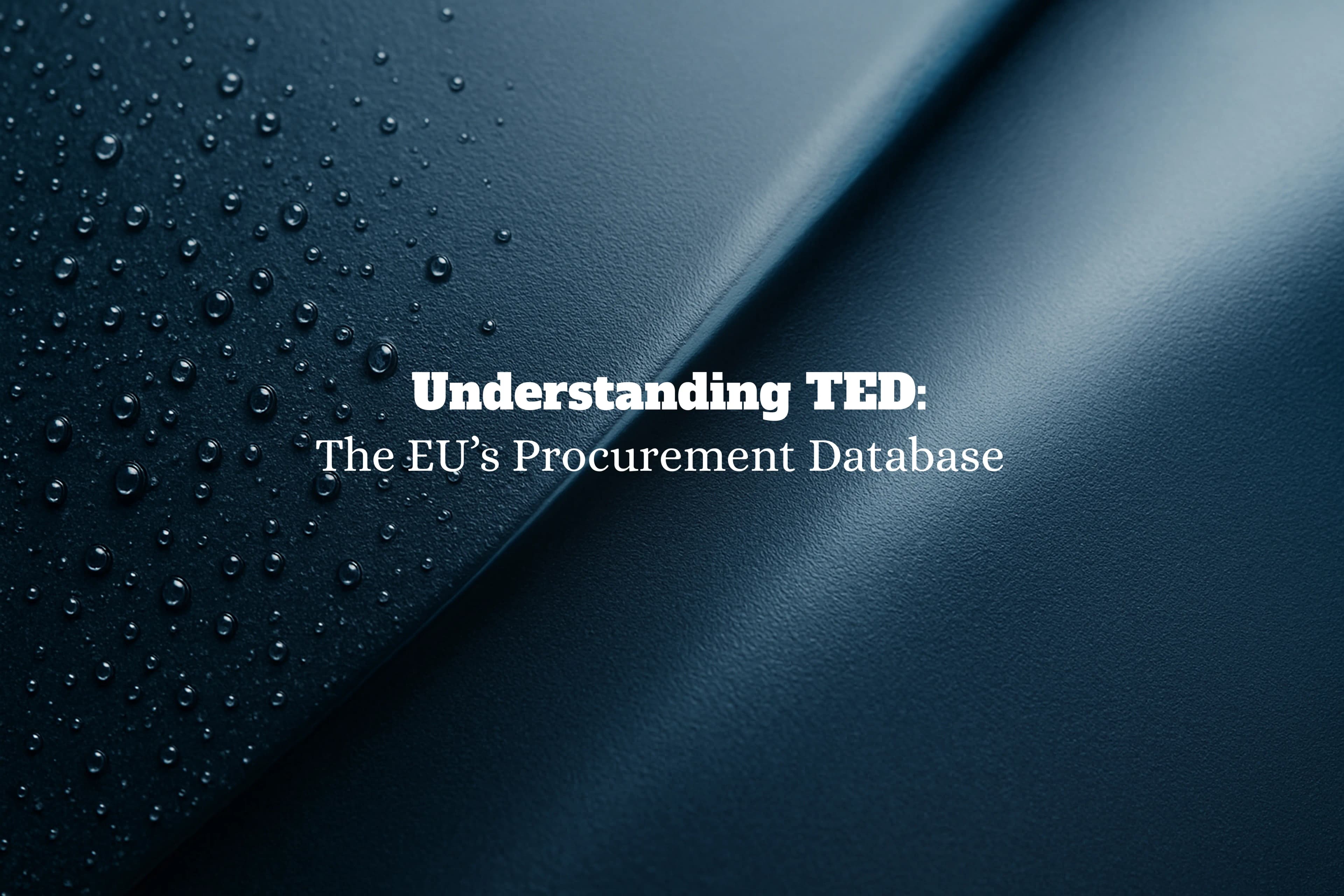 Understanding TED: The EU's Procurement Database | Reyda